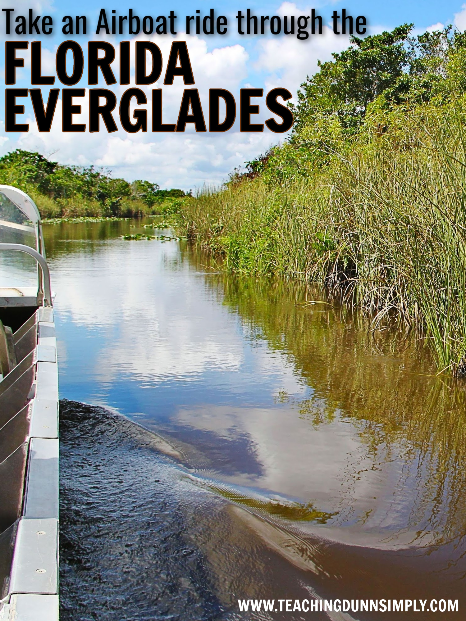 Let's Go Now! Virtual Field Trip to the Florida Everglades